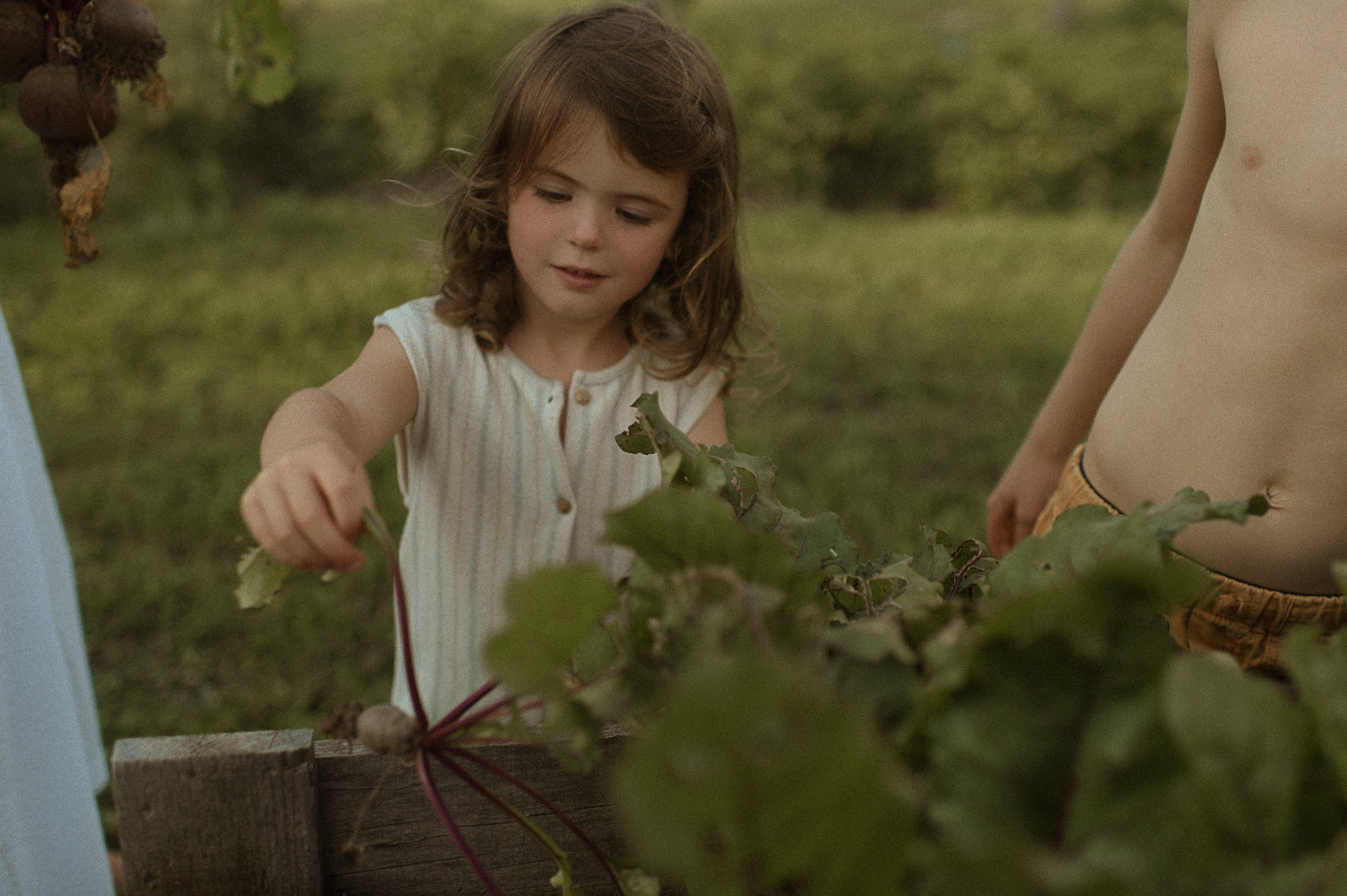 An unscripted family session - Jennifer Moher Photography
